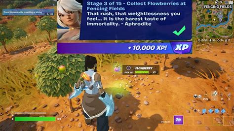 How To EASILY Collect Flowberries At Fencing Fields In Fortnite