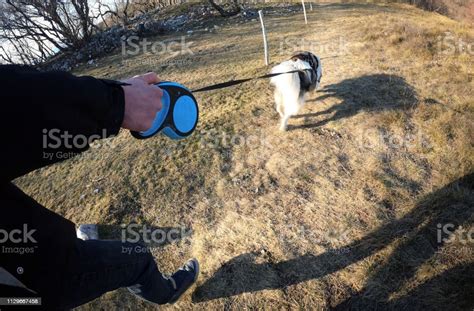 개 가죽 끈에 강아지와 성인 남자 하이킹 개에 대한 스톡 사진 및 기타 이미지 개 개 산책 걷기 Istock