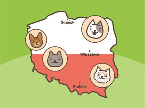 Najbardziej popularne rasy kotów w Polsce Blog Unizoo pl