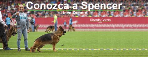 Conozca A Spencer Casa Massarelli