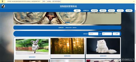 基于javaweb jsp ssm的宠物医院管理系统的设计与实现 vue 宠物医院jsp servlet csdn博客