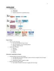 Chapter 4 Notes Docx 1 CHAPTER 4 TISSUES Epithelial Tissue A Shape