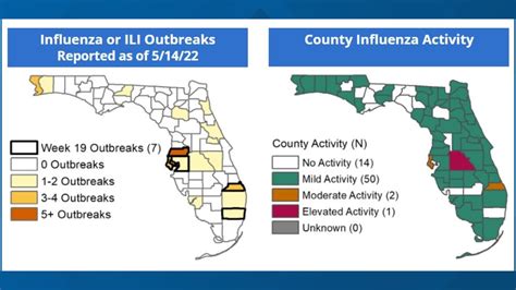 Tampa Bay Regions Sees Rise In Flu Cases