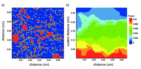 A Segmented X Ray Synchrotron Microtomographic Data Collected At The