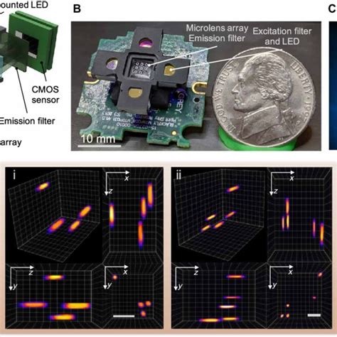 Pdf Single Shot 3d Wide Field Fluorescence Imaging With A Computational Miniature Mesoscope