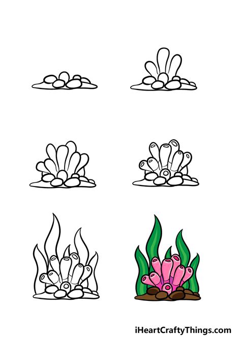 How To Draw Coral Coral Reef Drawing Etsy New Zealand
