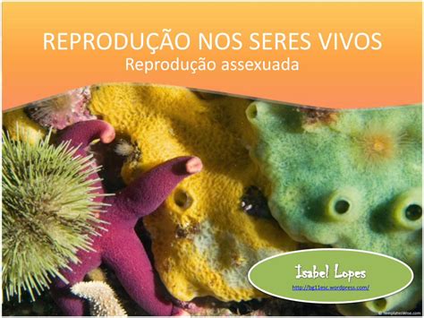 Pdf Reprodução Assexuada Nos Seres Vivos Dokumentips