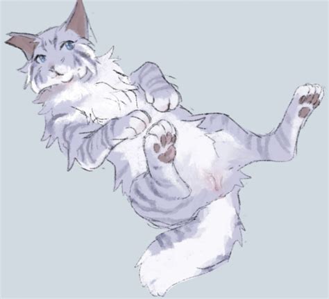 Rule 34 Anus Blue Eyes Feathertail Warriors Felid Female Feral Fur