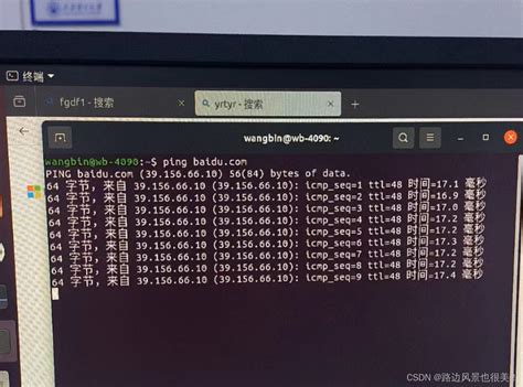 Linux Ping可以上内网，不能上外网系统重启dns不生效直接更改etcnf修改nameserver重启被重置