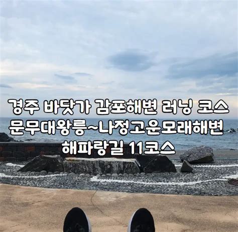 경주 바닷가 감포해변 러닝 코스 문무대왕릉~나정고운모래해변 해파랑길 11코스