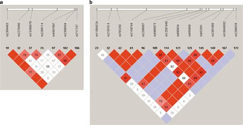 Haploview Generated Linkage Disequilibrium Ld Plot Of A Slc12a3