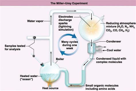 december 21 miller urey experiment fatal flaws creation 101