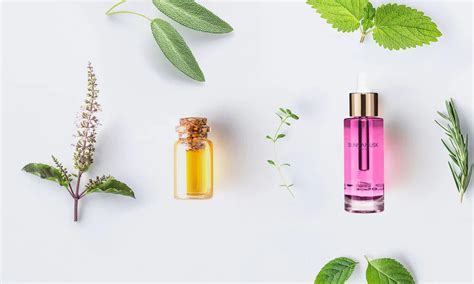 Fragrance Oils Vs Essential Oils What Is The Difference Chicago