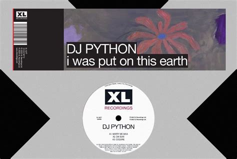 Dj Python Besos Robados