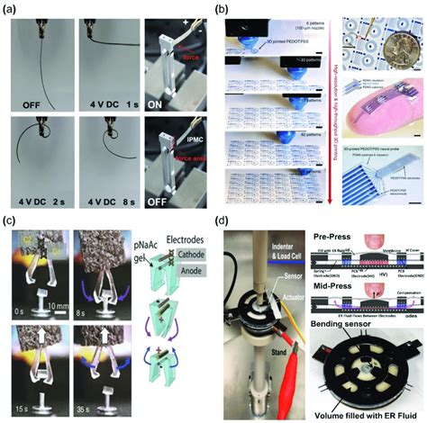 Application Examples Of Ionic Eap Devices A Bending Actuator