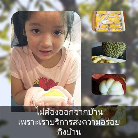 ประกาศ บ้านป่าริมธารโฮมสเตย์ ทุ่งเพล จันทบุรี Facebook