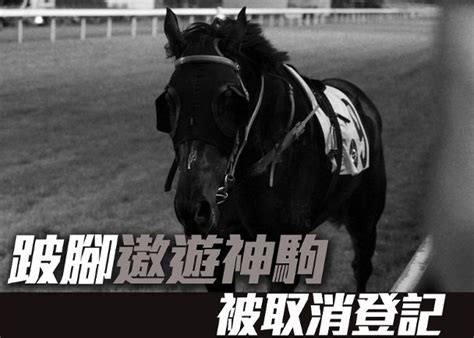 戰死沙場四個字 悲情遨遊神駒堪配