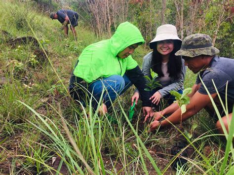 Tree Planting Activity At Mapita Aguilar Pangasinan Nia Region I