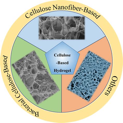 Application Of Cellulose‐based Hydrogel Electrolytes In Flexible Batteries Liu 2022 Carbon