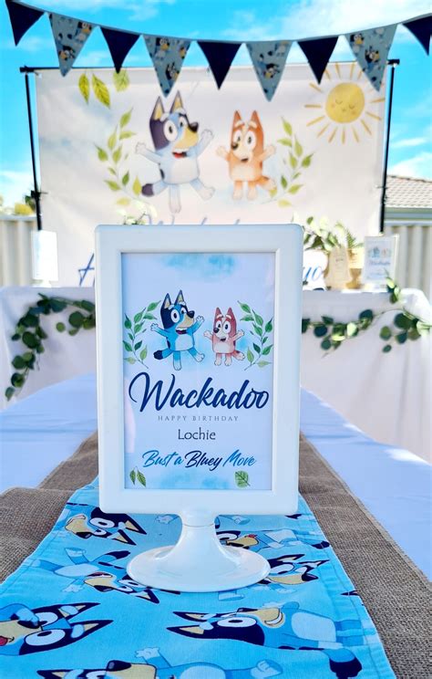 Bluey Party Ideas
