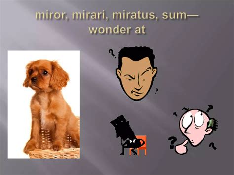 Deponent Verbs Denyce Alvarez Pptx