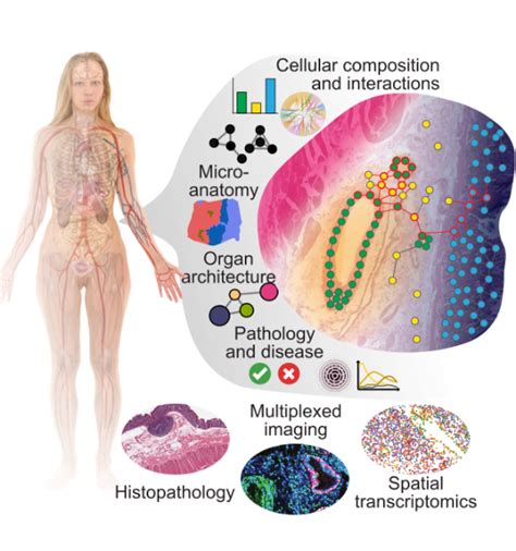 Homepage Rendeiro Lab