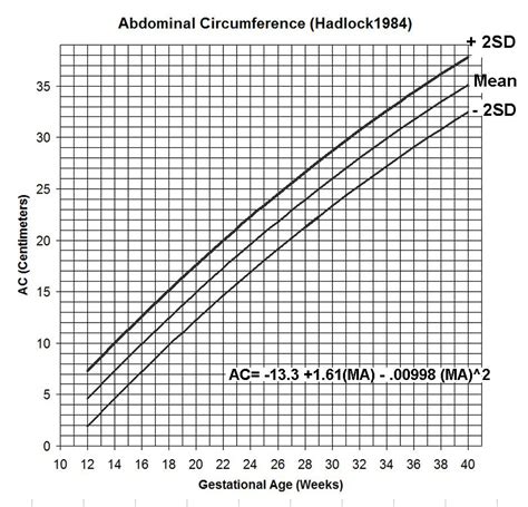 Fetal Weight Chart Canada