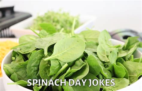 2 Spinach Day Jokes And Funny Puns Jokojokes