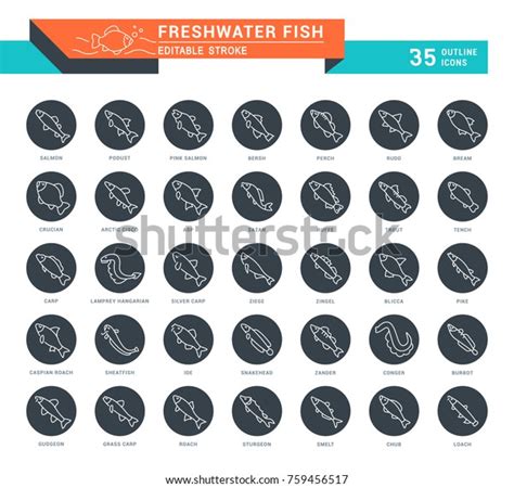 Cisco Over Royalty Free Licensable Stock Illustrations Drawings Shutterstock