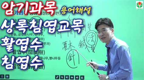 상록침엽교목 한자공부법 한문 한자비법 한자강의 간체자 공부방법 일본어 한자 중국어 한자 일본어 Youtube