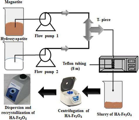 Schematic Diagram For The Preparation Of Ha Fe3o4 Download Scientific Diagram