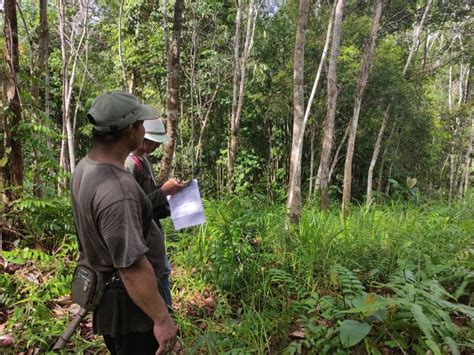 Florian Reimer Posted On Linkedin