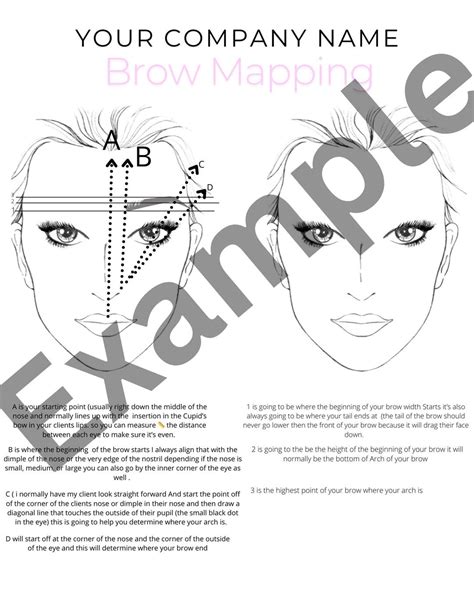 Brow Mapping Worksheets Etsy