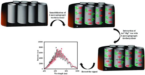 Schematic Representation For The Fabrication Of The Interferometric