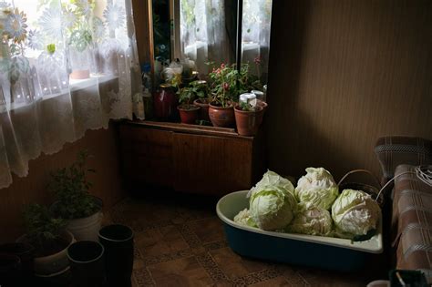 Nadia Sablin — Blue Sky Oregon Center For The Photographic Arts