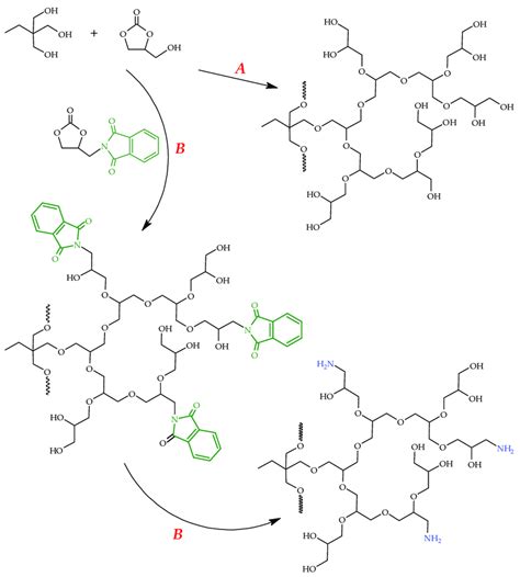 Scheme 15 Synthesis Of Hyperbranched Polyglycerols Path A And