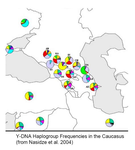 Genetic Clues To The Ossetian Past Languages Of The World