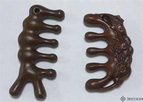 Гуаша модон сам