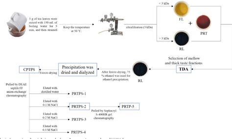 Figure 1 From Polysaccharide Conjugates Contribution To Mellow And