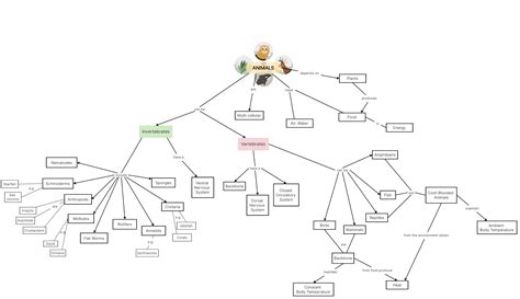 Concept Map Examples Ela