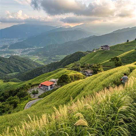 Alpine Grasses At Shangshan In Taipei City Stock Illustration