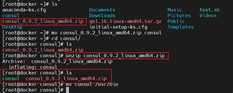 Docker容器 Consul部署 consul 容器 CSDN博客
