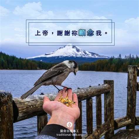 share ctodb 2020 11 24 靈命日糧繁體中文網站