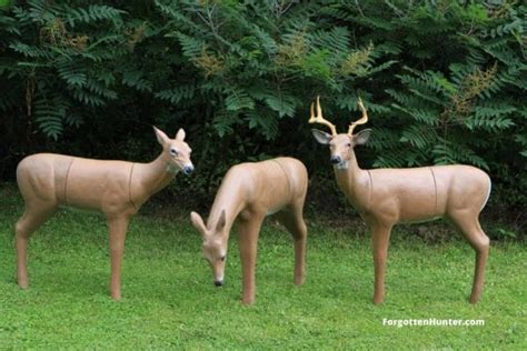 14 Best Crossbow Targets In 2022 Reviews And Buyers Guide Out For