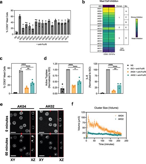 Siglec 6 Mab Mediated Mc Inhibition And Receptor Clustering Is Epitope Download Scientific