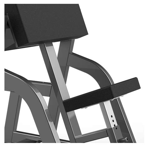 Fw 2004 Seated Arm Curl Buy Arm Workout Straight Arm Arm Curl Test