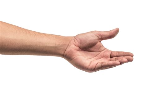 AI Generated Open Human Hand Png PNG