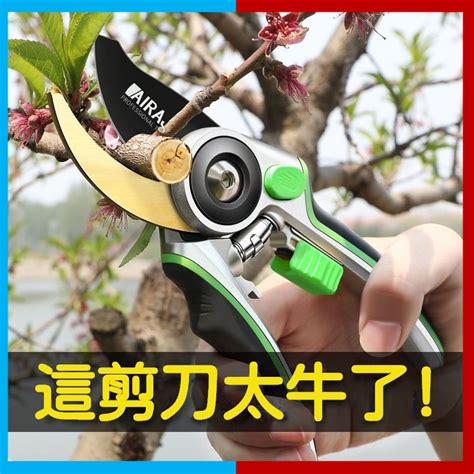 【正品】 果樹 修枝剪刀 園藝 修剪 樹枝 園林 省力 修花枝剪 傢用 剪刀 蝦皮購物