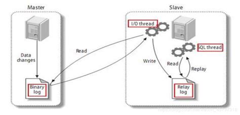 Mysql搭建主从复制（一主一从，双主双从）mysql双主一从双主都设置了log Slave Updateson从库也设置了二条复制源
