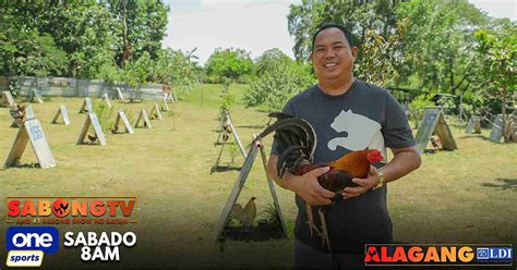 Sistema Ng Paghanda Ni Gerald Garcia Ng Gegar Gamefarm Sa Alagang LDI